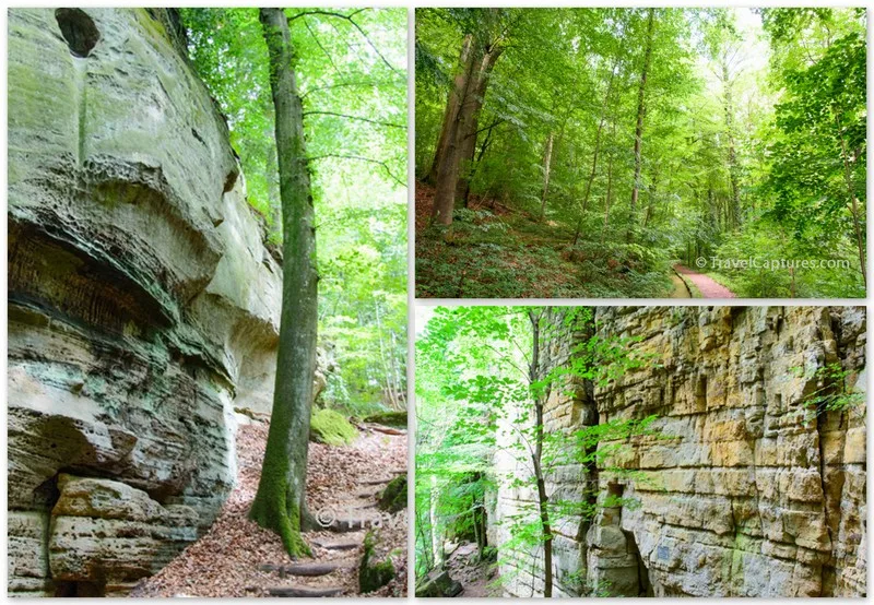 Exploring the Mullerthal Trail: Scenic Forest Walk in Luxembourg ...